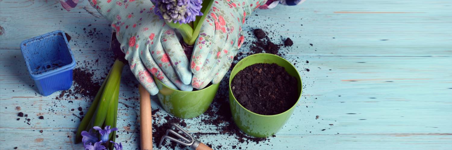 Events & Bookings | Newham Libraries